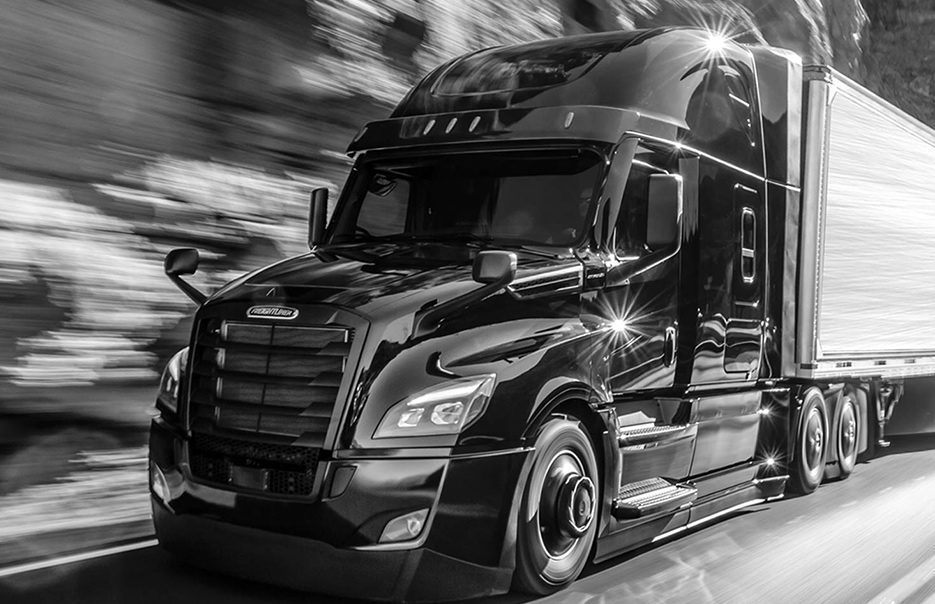 MS Transport
