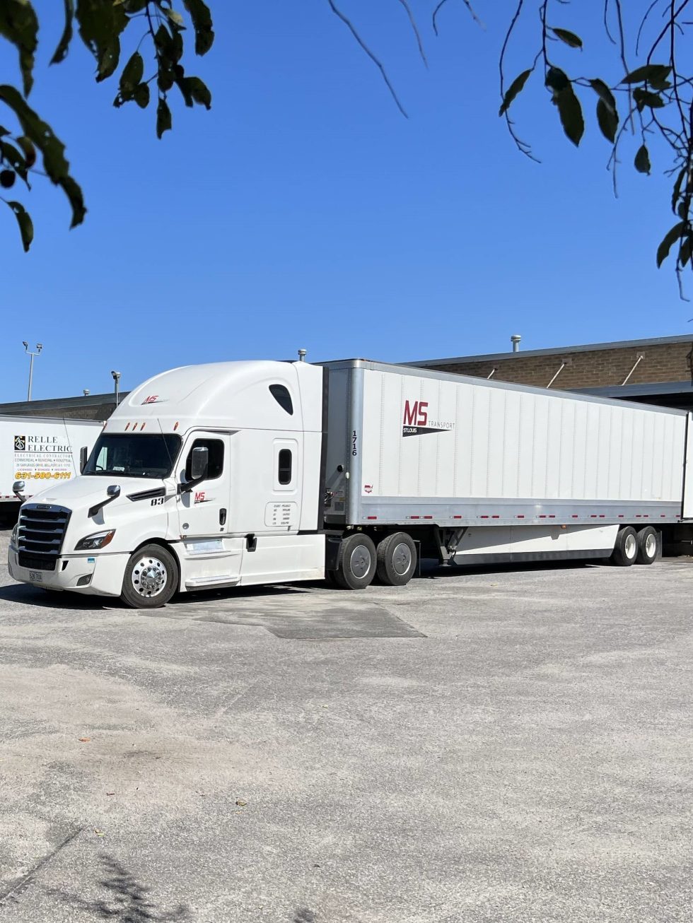 Services | MS Transport