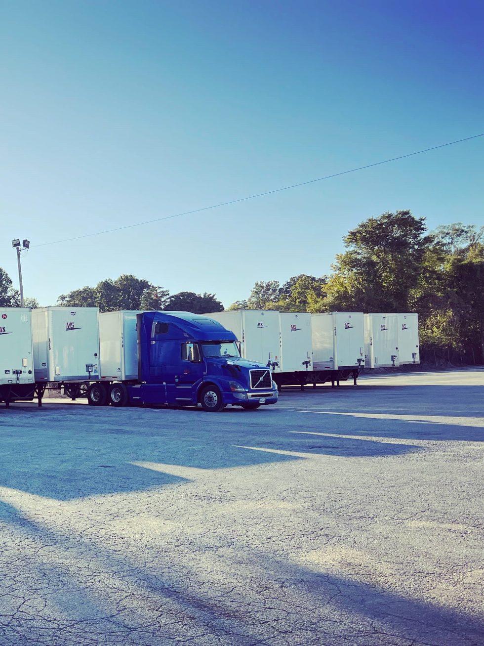 Services | MS Transport